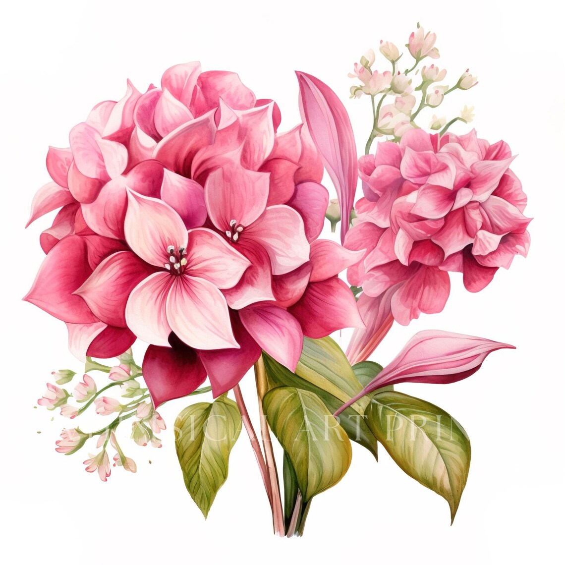 Pink Hydrangeas Clipart, Hydrangea Flowers, Bouquet Clipart, Watercolor ...