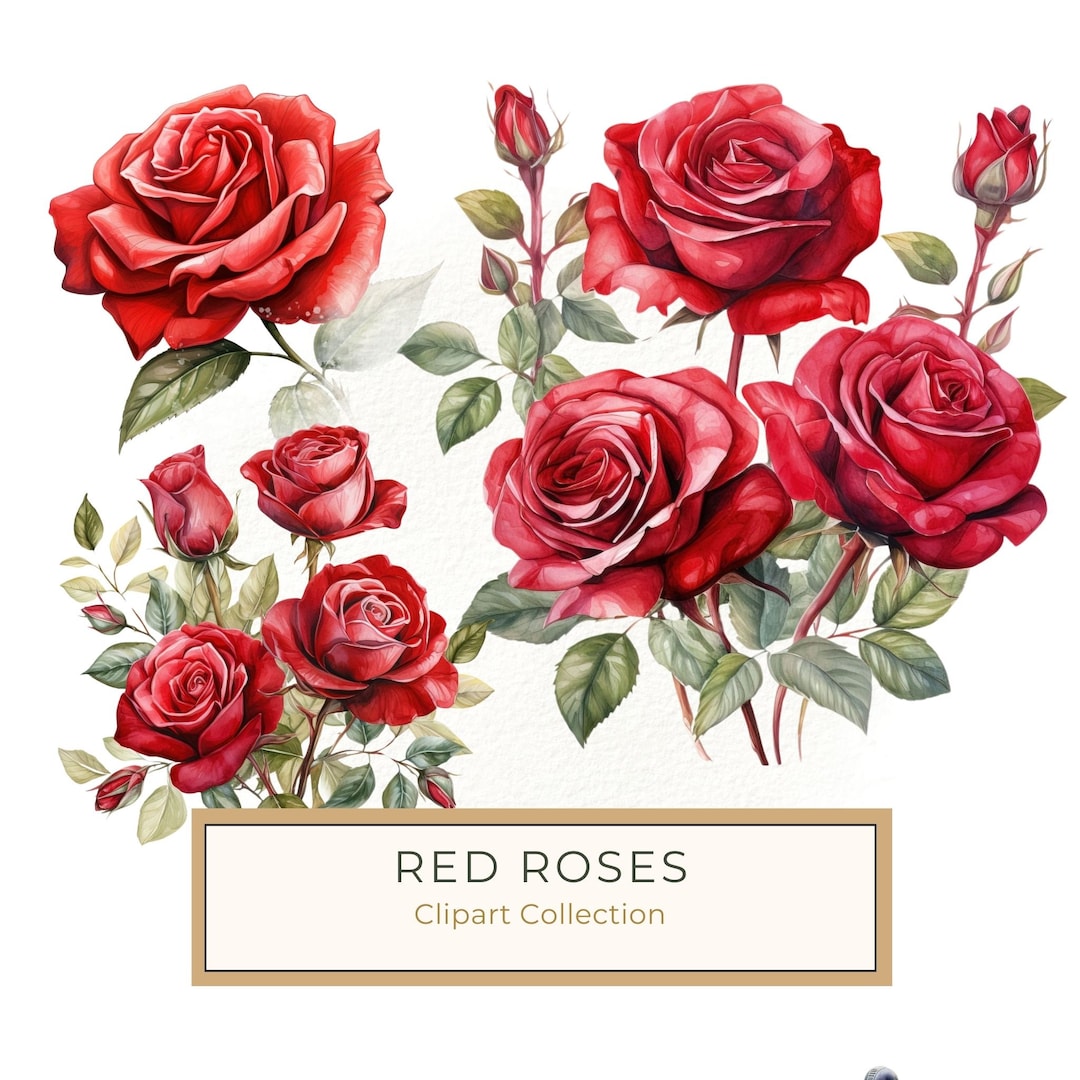 Red Roses Bouquet Clipart, Realistic Watercolor Red Roses PNG, Wedding ...