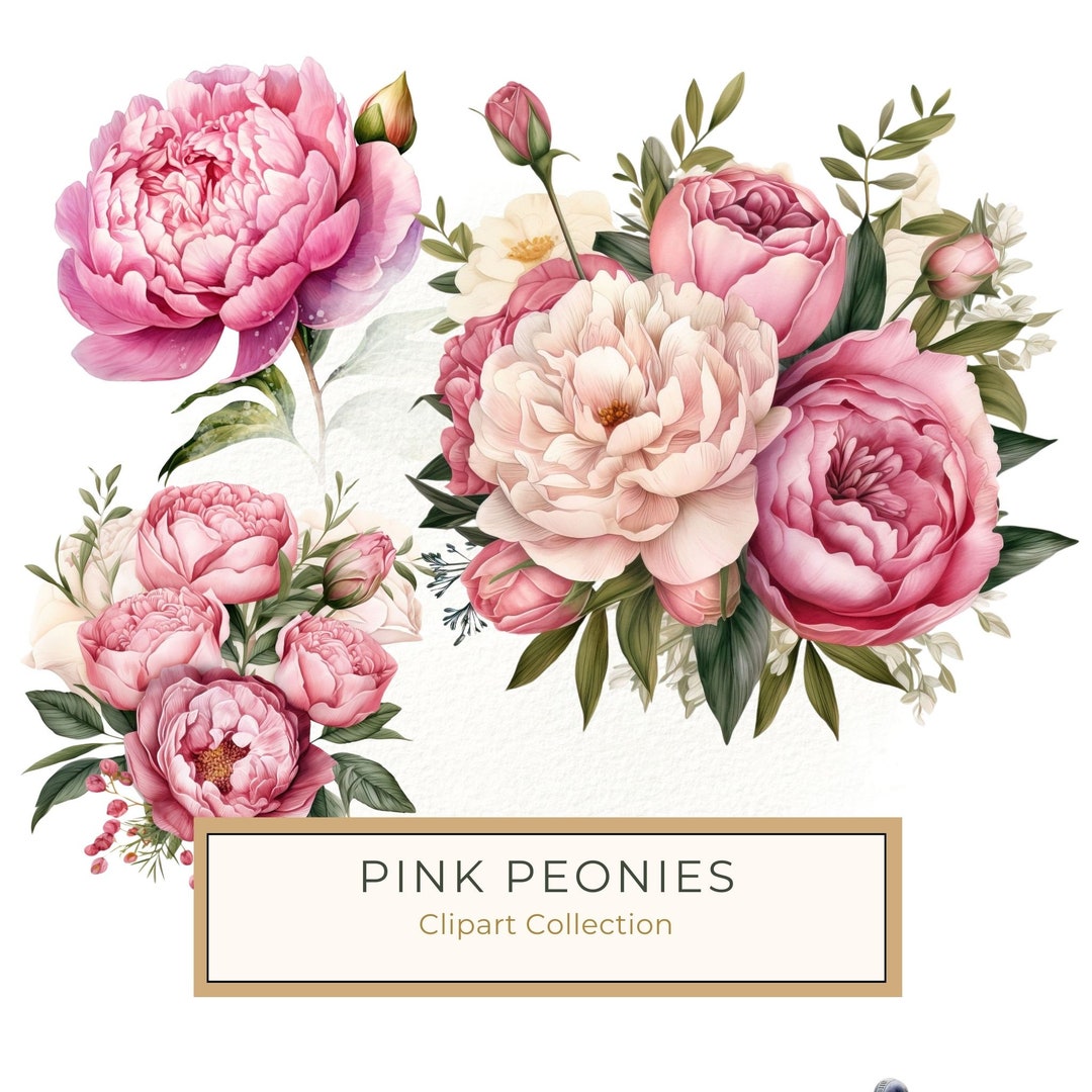 Pink Peonies Clipart, Peony Floral Bouquet PNG, Watercolor Flowers Wall ...