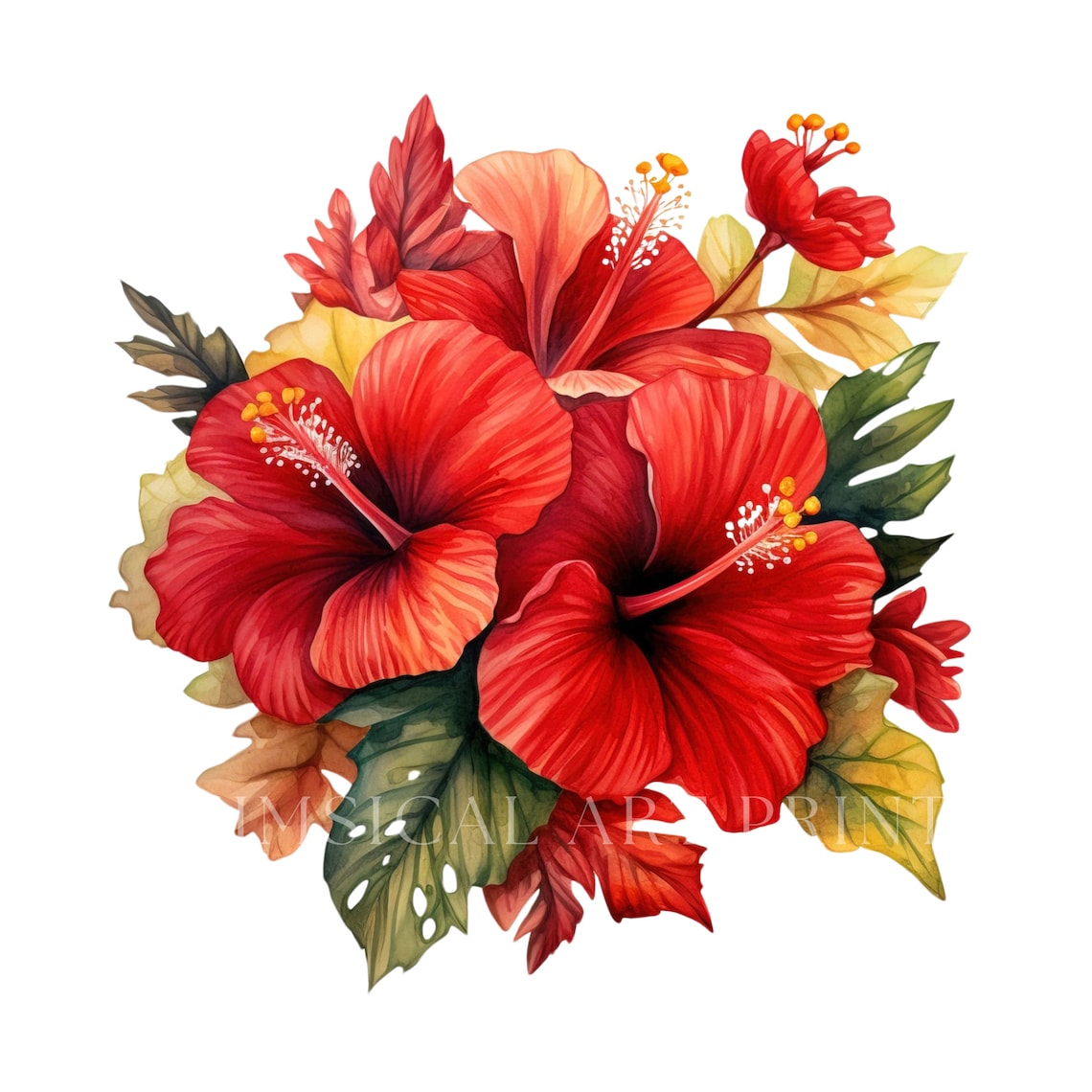 Red Hibiscus Clipart, Hibiscus Watercolor Flower Bouquet Graphic, Red ...