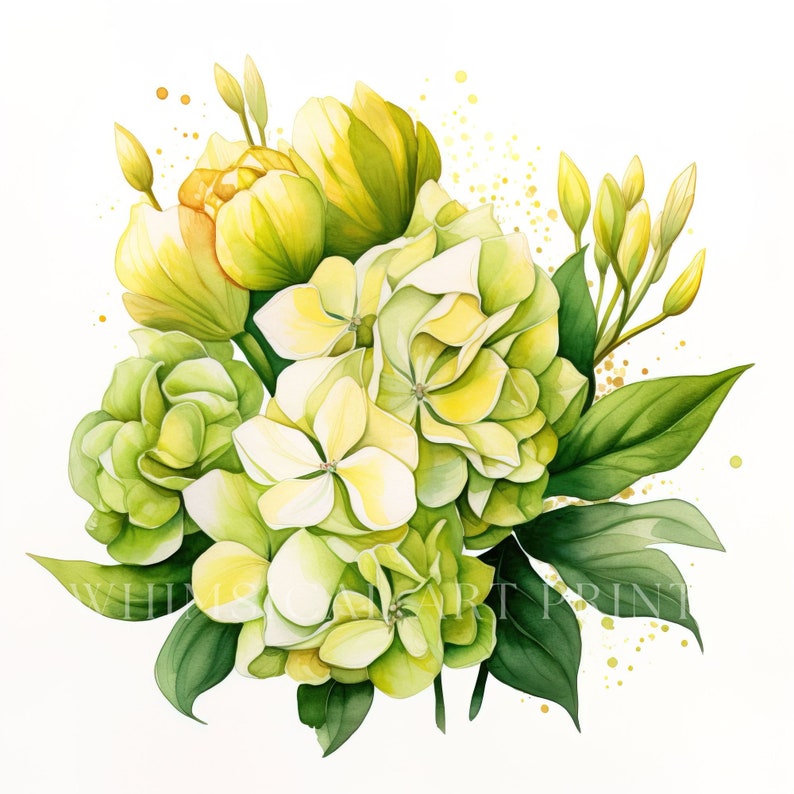 Green Hydrangeas Clipart, Hydrangea Flowers, Bouquet Clipart, Watercolor Art, Commercial Use ...