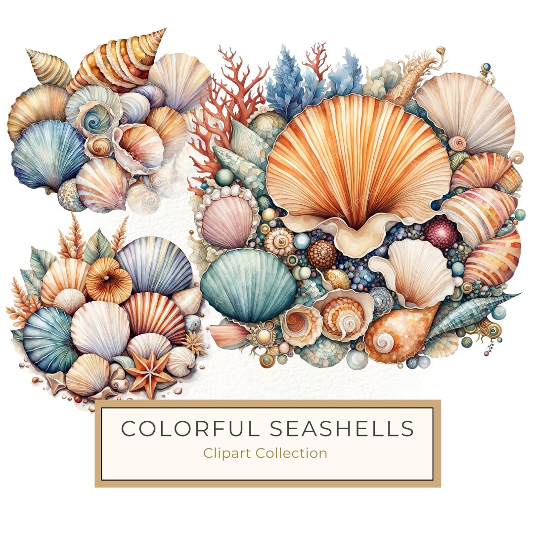 Colorful Watercolor Seashell Clusters: Beachy Clip Art, Summer Designs ...
