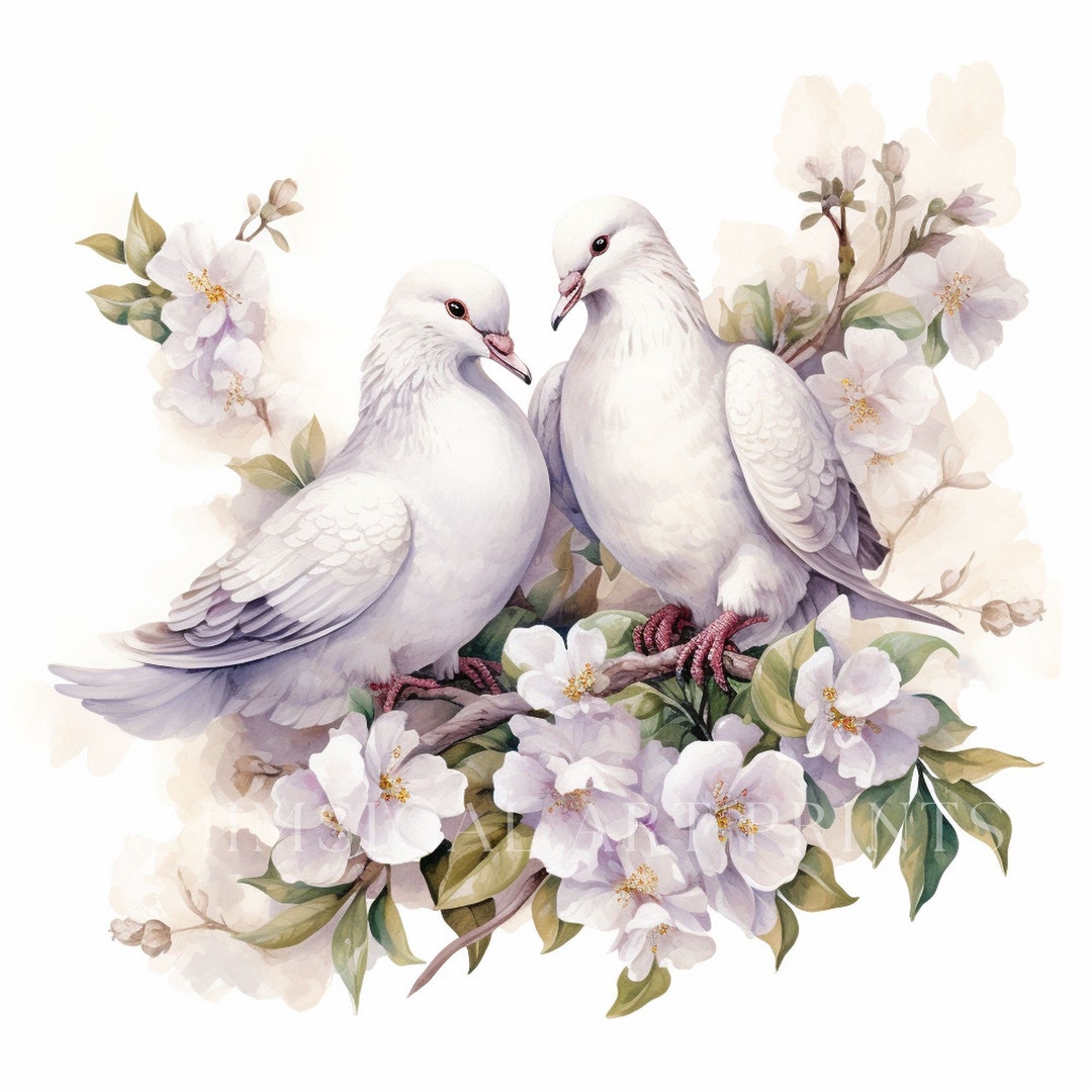 Dove Clipart A Pair of White Doves on Flowery Branch Art - Etsy