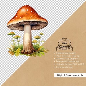 Watercolor Woodland Mushroom Clipart With Transparent Background for ...