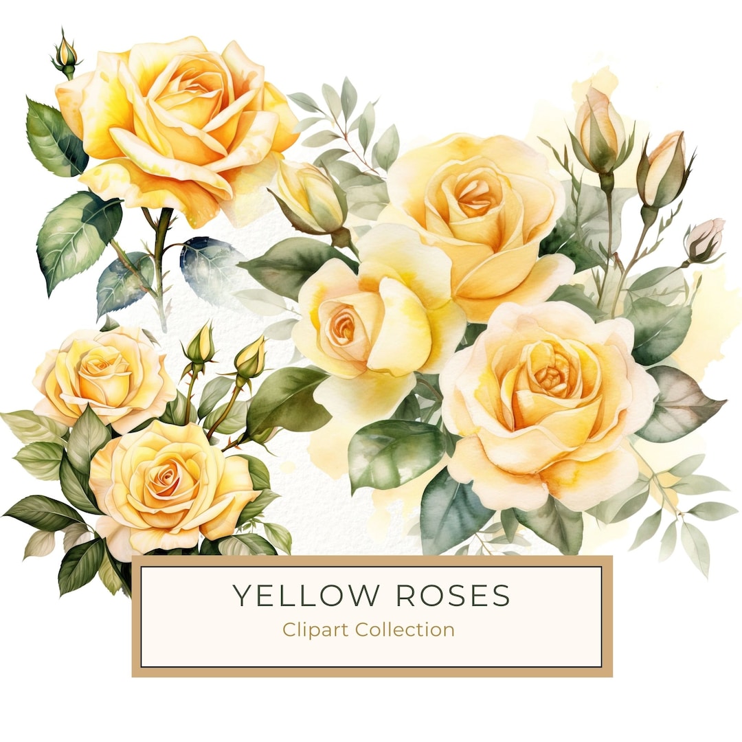 Yellow Roses Bouquet Clipart, Watercolor Yellow Roses PNG, Wedding Art ...