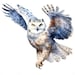 Snowy Owl Clipart, Bird Clipart, Watercolor Snowy Owls, Owls ...