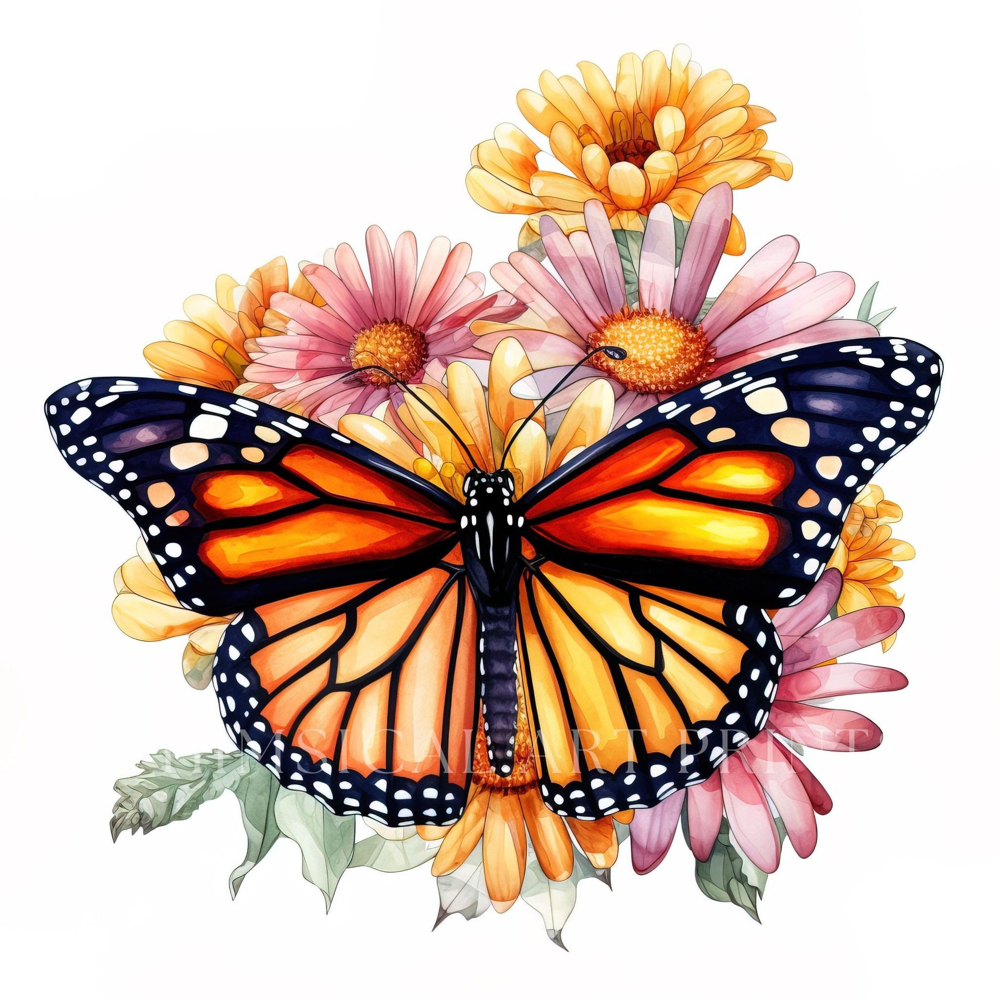 Monarch Butterfly Clipart, Close-up Illustration, Watercolor Clipart ...