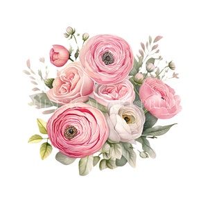 Pink Ranunculus Clipart, Ranunculus Watercolor Flower Bouquet, Pink ...