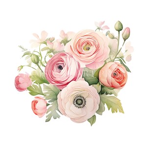 Pink Ranunculus Clipart, Ranunculus Watercolor Flower Bouquet, Pink ...
