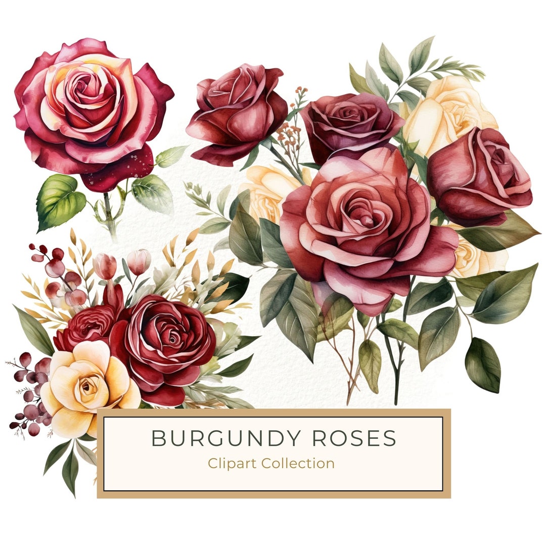 Burgundy Roses Bouquet Clipart, Watercolor Red Roses PNG, Wedding Art ...