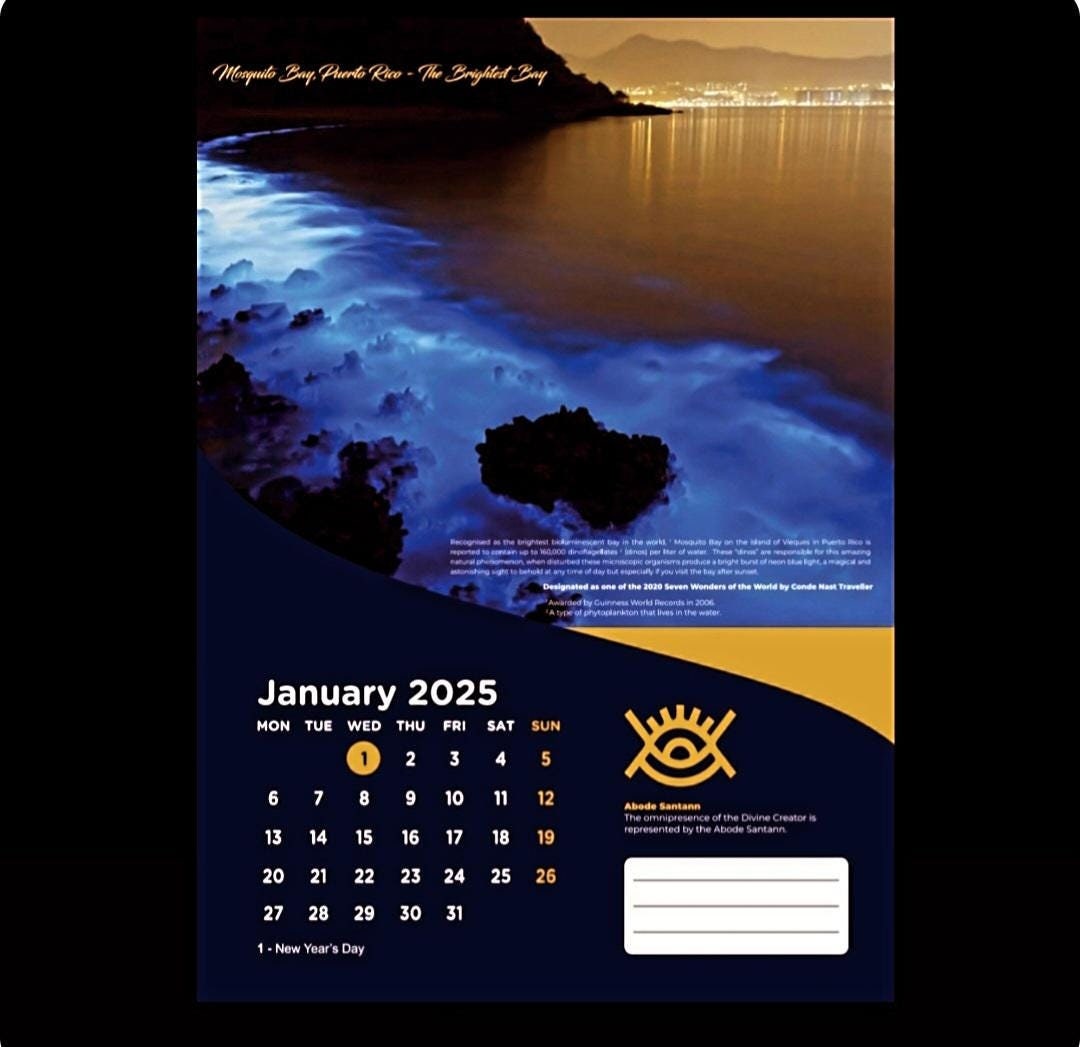 Simba Mweusi 2025 Calendar - Etsy