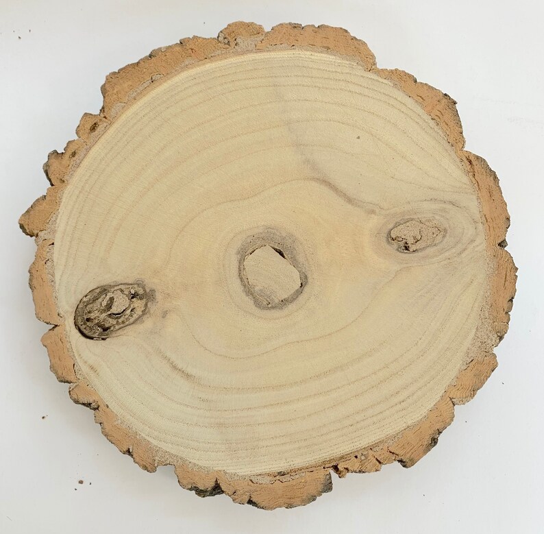 Rustic Large Wood Slice Log for Craft, Wedding Decoration, Table ...