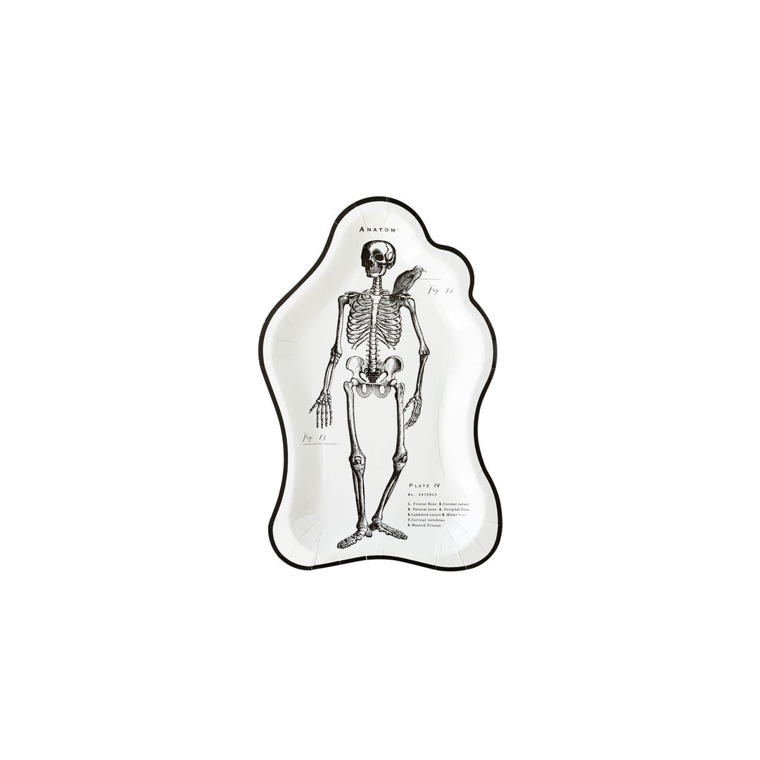 Set of 8 Skeleton Paper Plates | Halloween Paper Party Plates ...