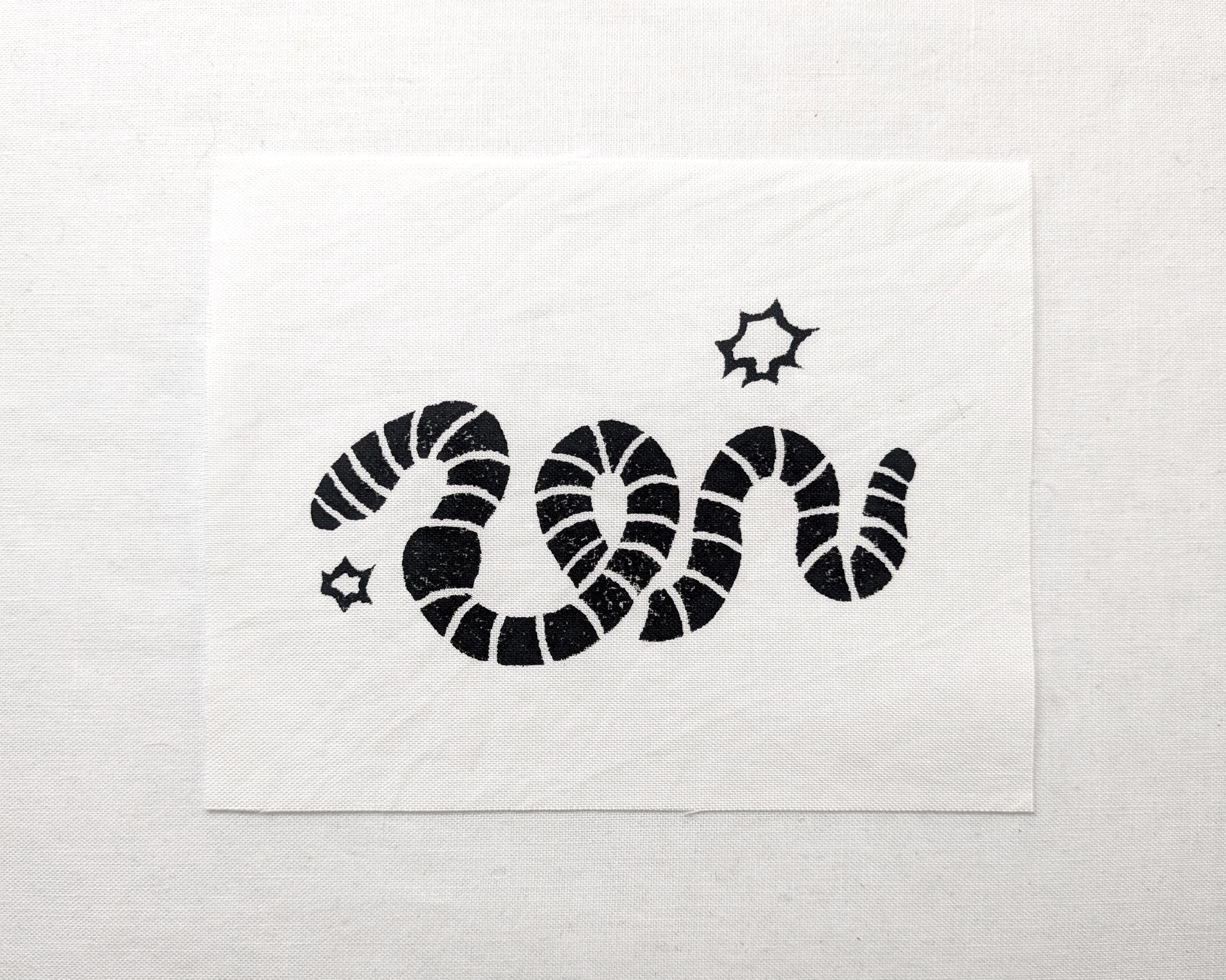Worm Patch | Fabric Block Print Jacket Patch - Etsy