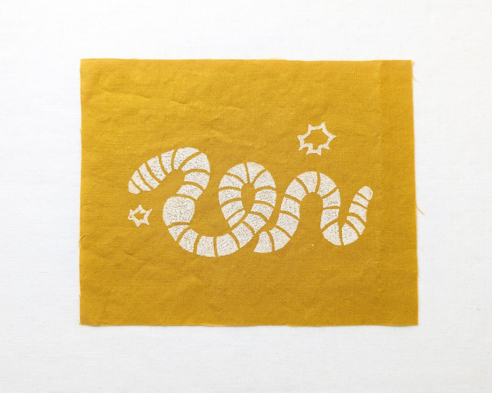 Worm Patch | Fabric Block Print Jacket Patch - Etsy