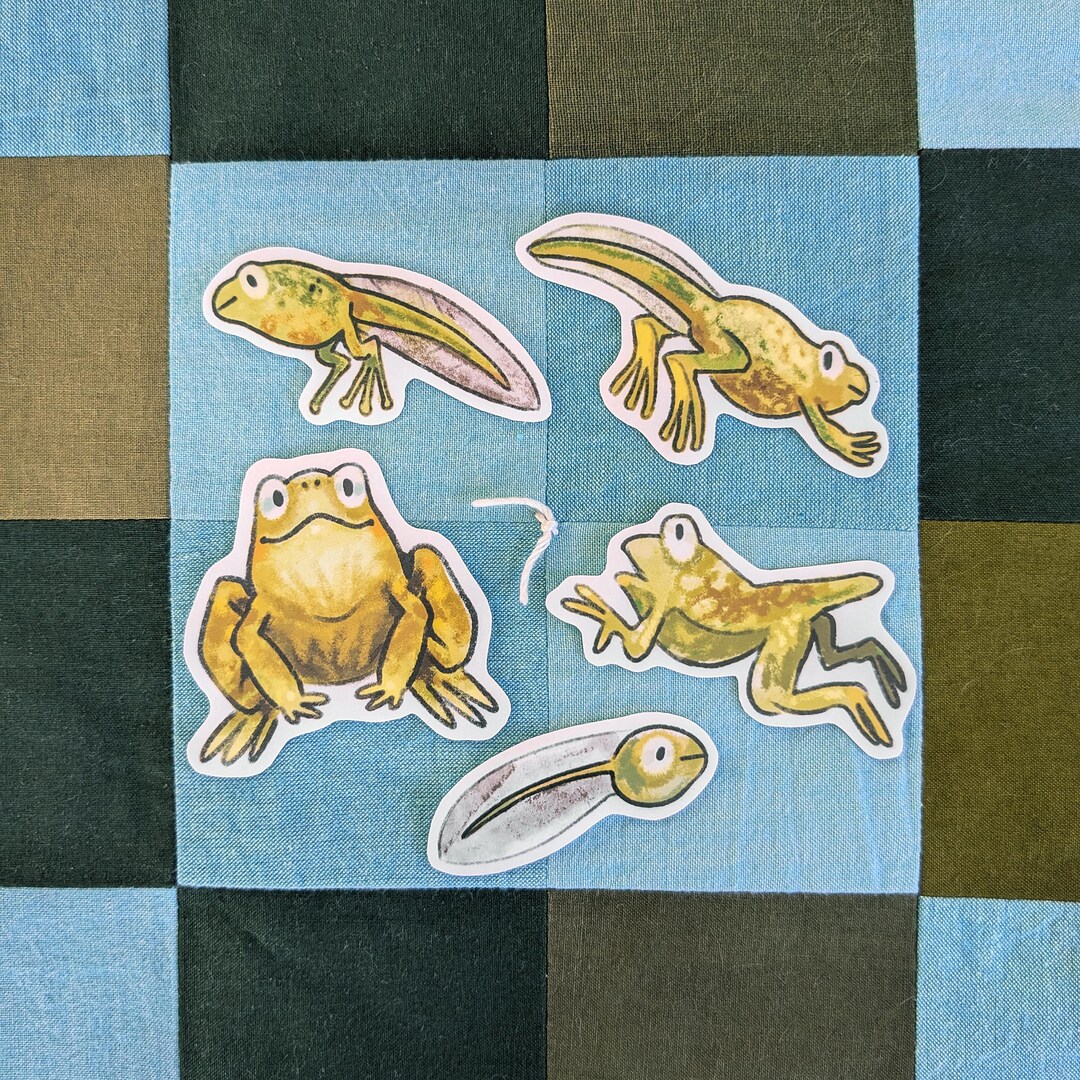 Tadpole to Frog - 5pc Sticker Set - Etsy