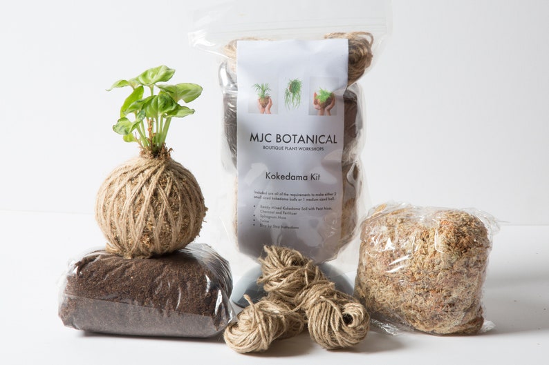 Kokedama Kit - Etsy Australia
