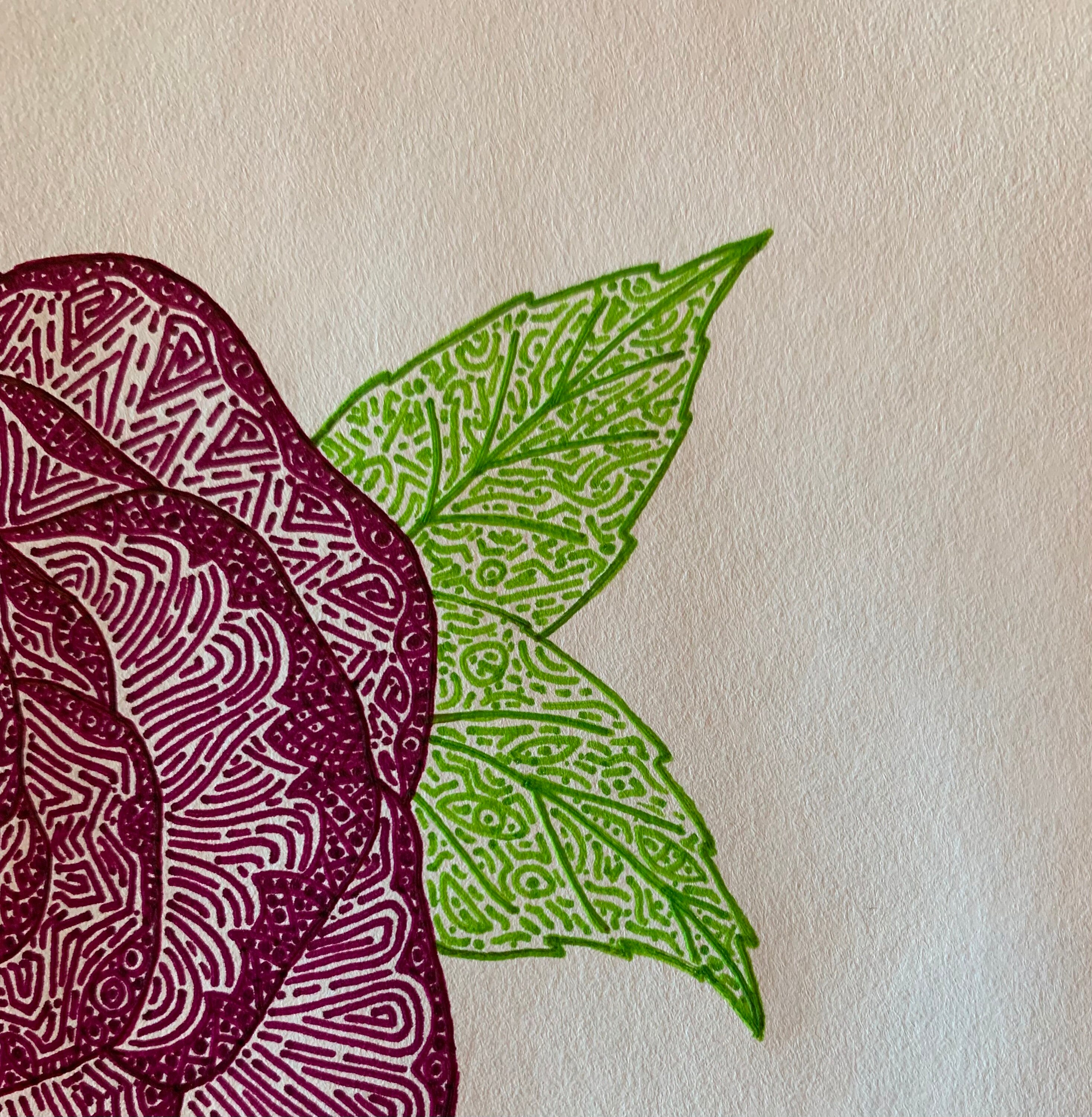 Zentangle Rose - Etsy