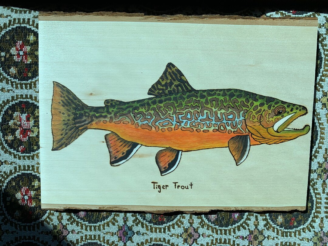 Wood Burned Tiger Trout - Etsy