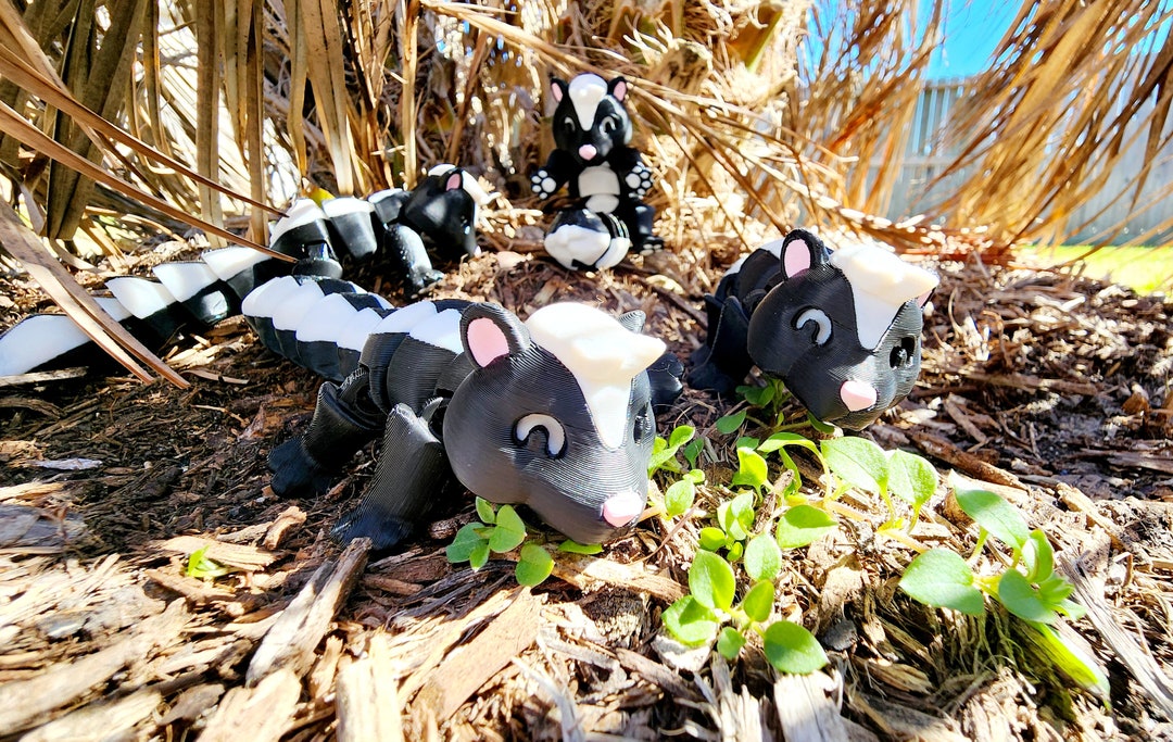 3D Printed Articulated Skunk Fidget Toy, Sensory Toy. - Etsy