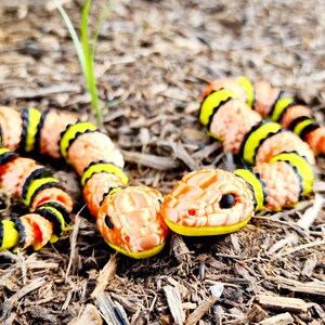 3D Printed Articulated Coral Snake, King Snake Fidget Sensory Toy, Desk ...