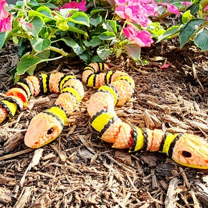 3D Printed Articulated Coral Snake, King Snake Fidget Sensory Toy, Desk ...