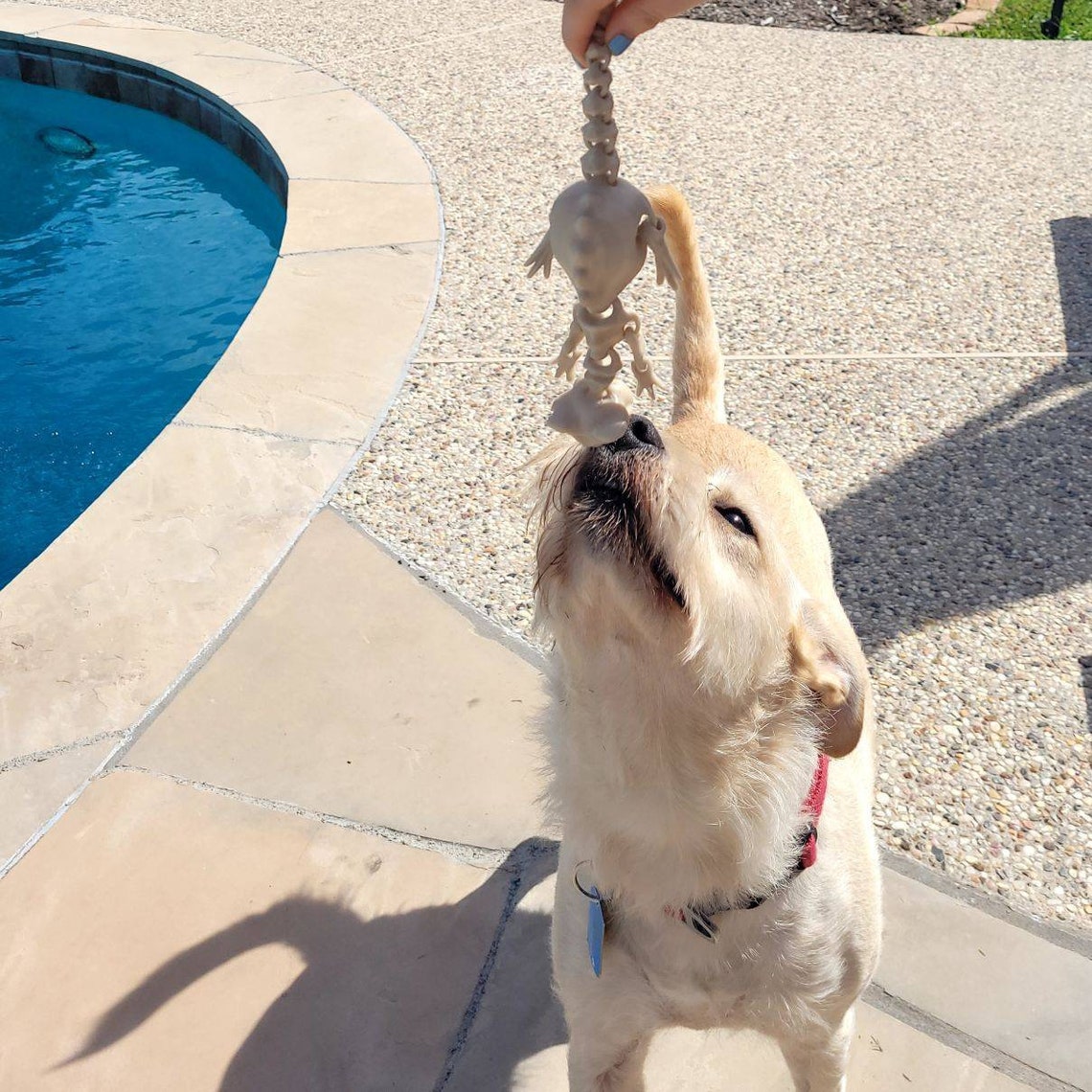 3D Printed Bone Rat Articulated Fidget Toy. - Etsy