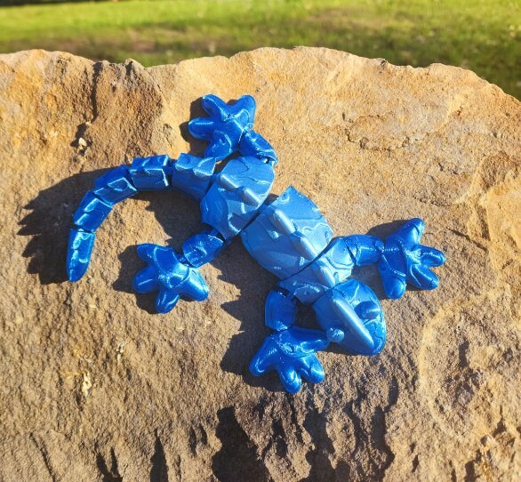 Articulate Salamander Fidget Toy 3D Printed Sensory Toy - Etsy