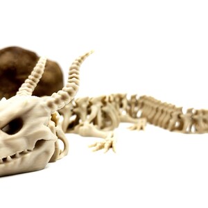 3D Printed Articulate Posable Skeleton Dragon Fidget, Sensory Toy. - Etsy