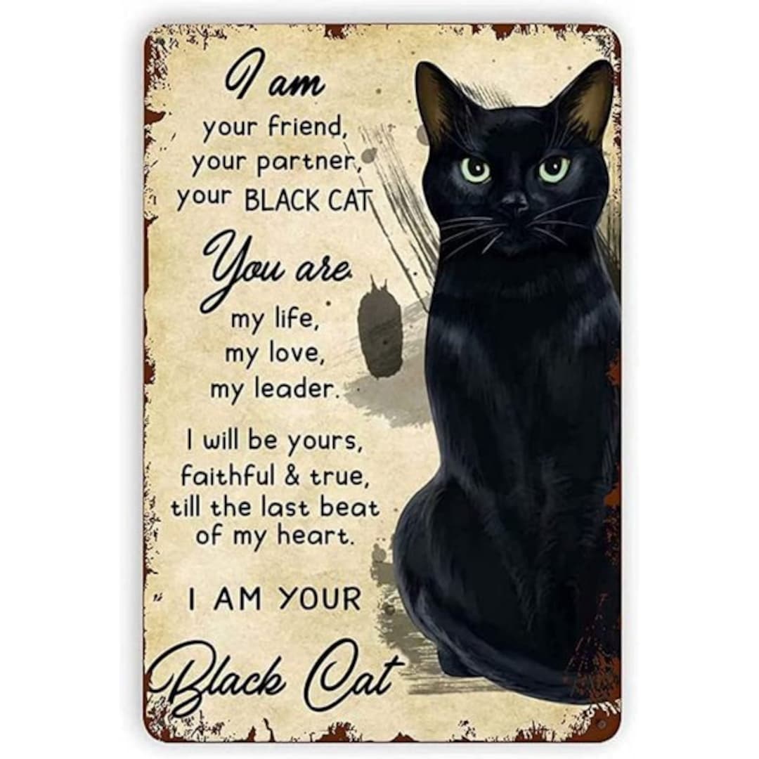 8x12 Black Cat Metal Aluminum Sign - Etsy