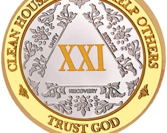One Year Medallion Aa - Etsy
