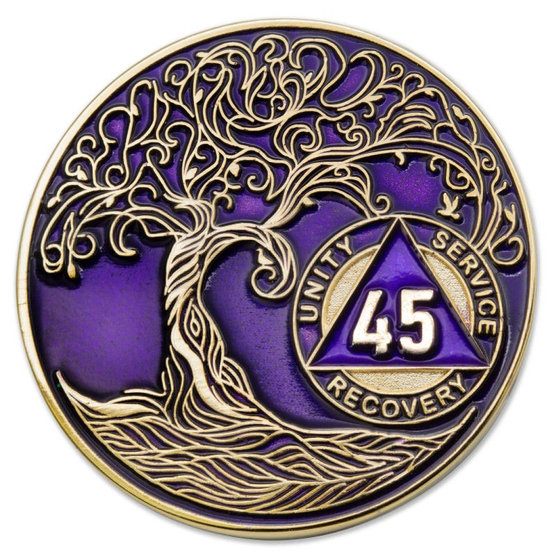 45 Year Medallion - Etsy