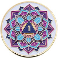 1 Year Sobriety Medallion | AA NA Anniversary Gift - Etsy