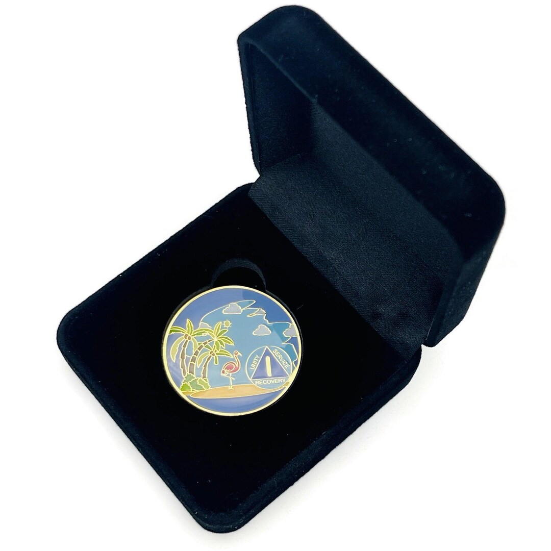 1 Year Beach Themed Specialty Tri-plated AA Recovery Medallion - One ...
