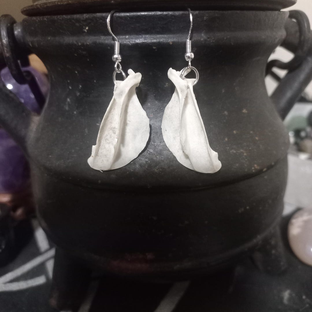 Real Squirrel Scapula Bone Shoulder Blade Earrings - Hand Crafted - Etsy