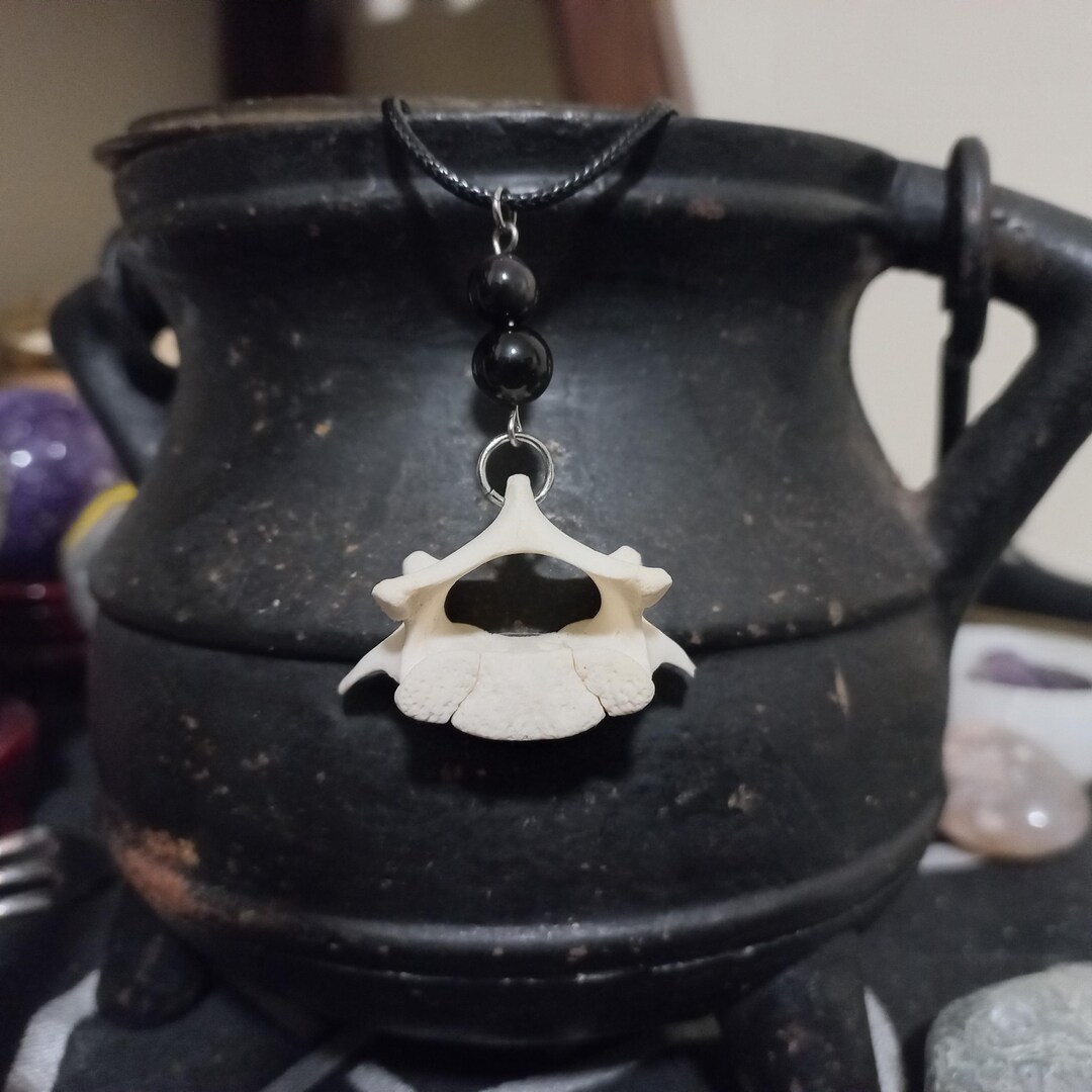 Real Deer Fawn Vertebrae Bone W/ Genuine Semi-precious Crystal Rainbow ...