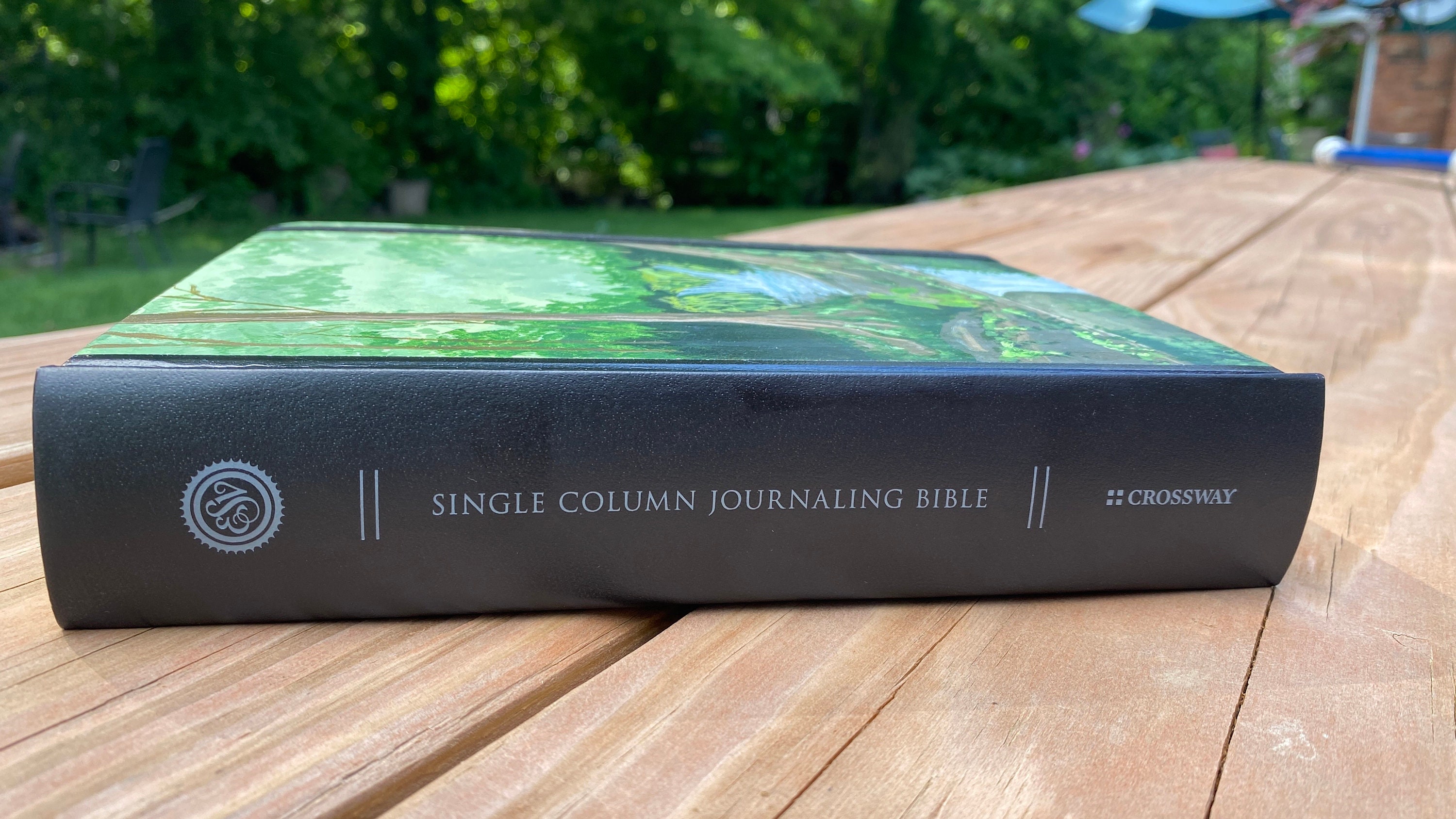 ESV Single Column, Hard Cover, Hand Painted, Journaling Bible - Etsy