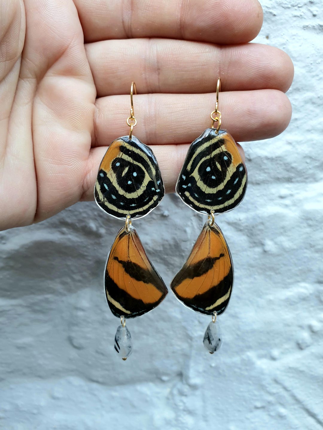 Real Calicore Cynosura Butterfly Double Deckers With Rutile Quartz ...