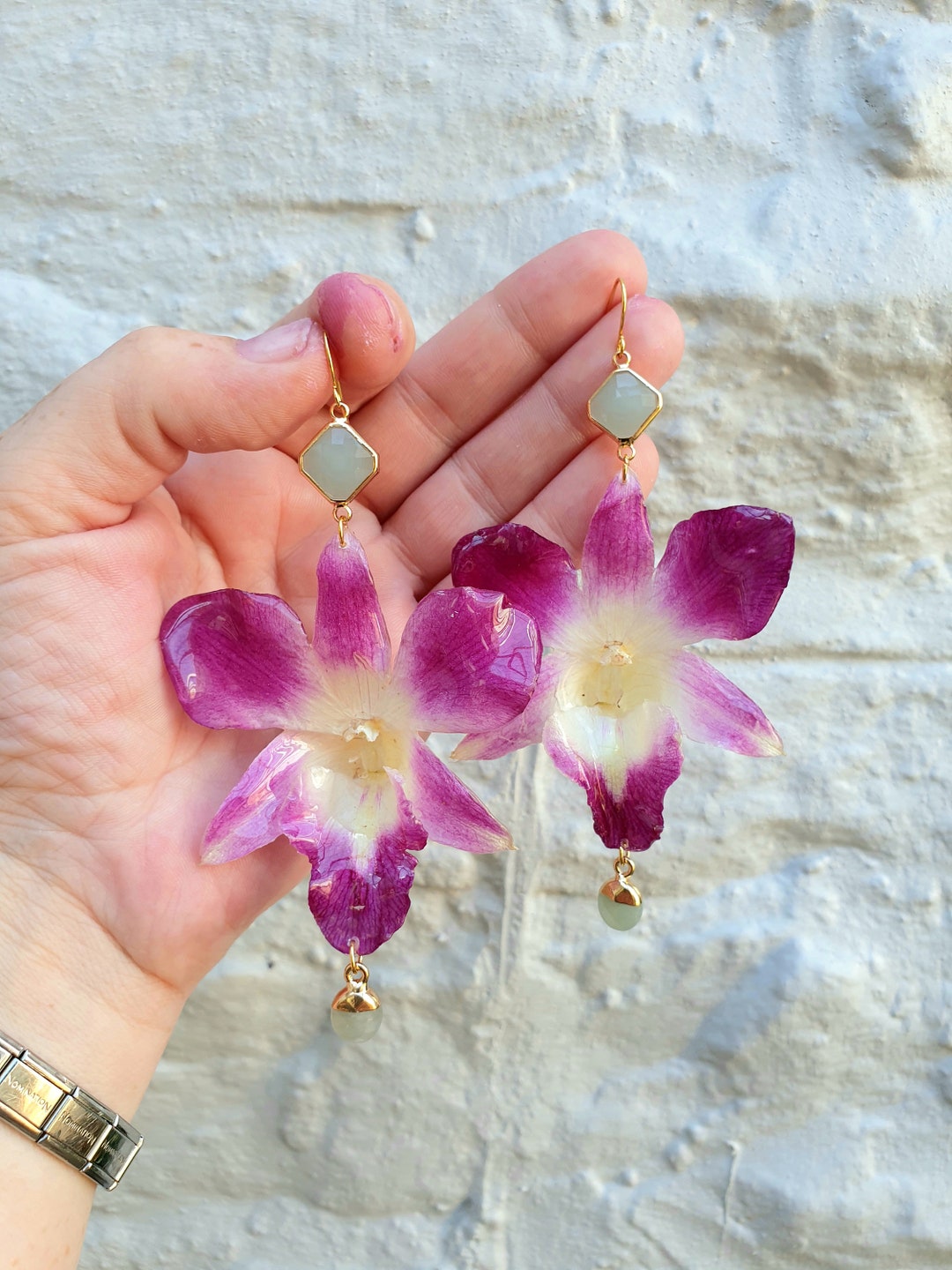 Paradise Dendrobiums, Medium Hot Pink not Dyed Dendrobium Orchids With ...
