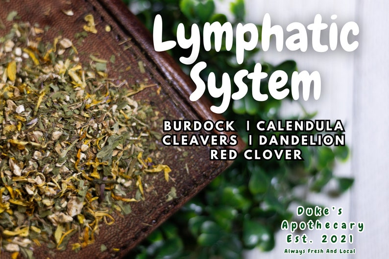 Lymphatic System Herbal Tea - Etsy