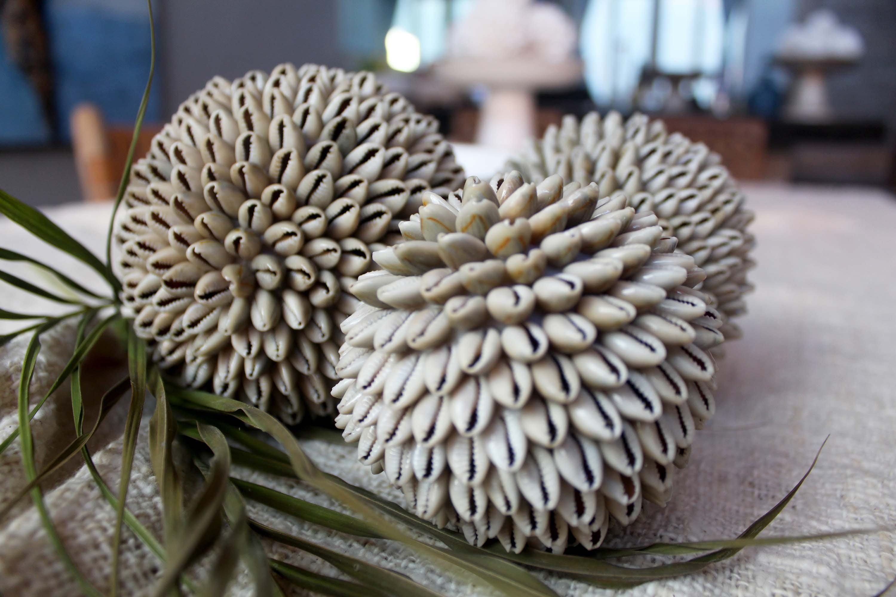 Seashells Table Decor, Set of 3 Cowrie Shell Balls for Coastal Style ...