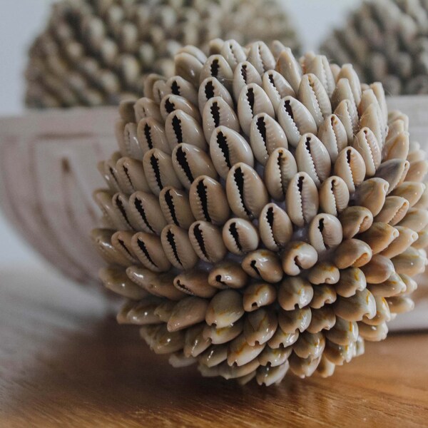 Seashell Balls - Etsy