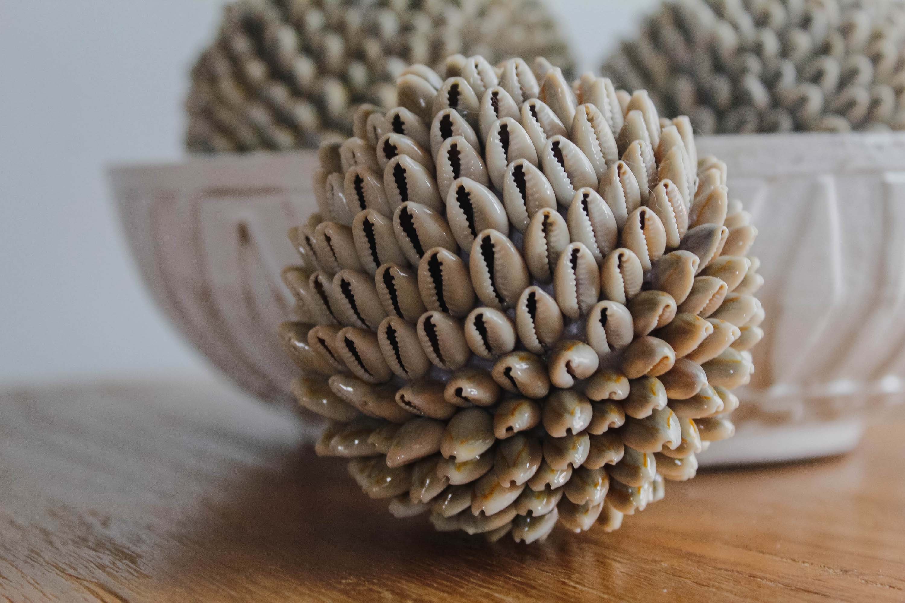 Seashells Table Decor, Set of 3 Cowrie Shell Balls for Coastal Style ...