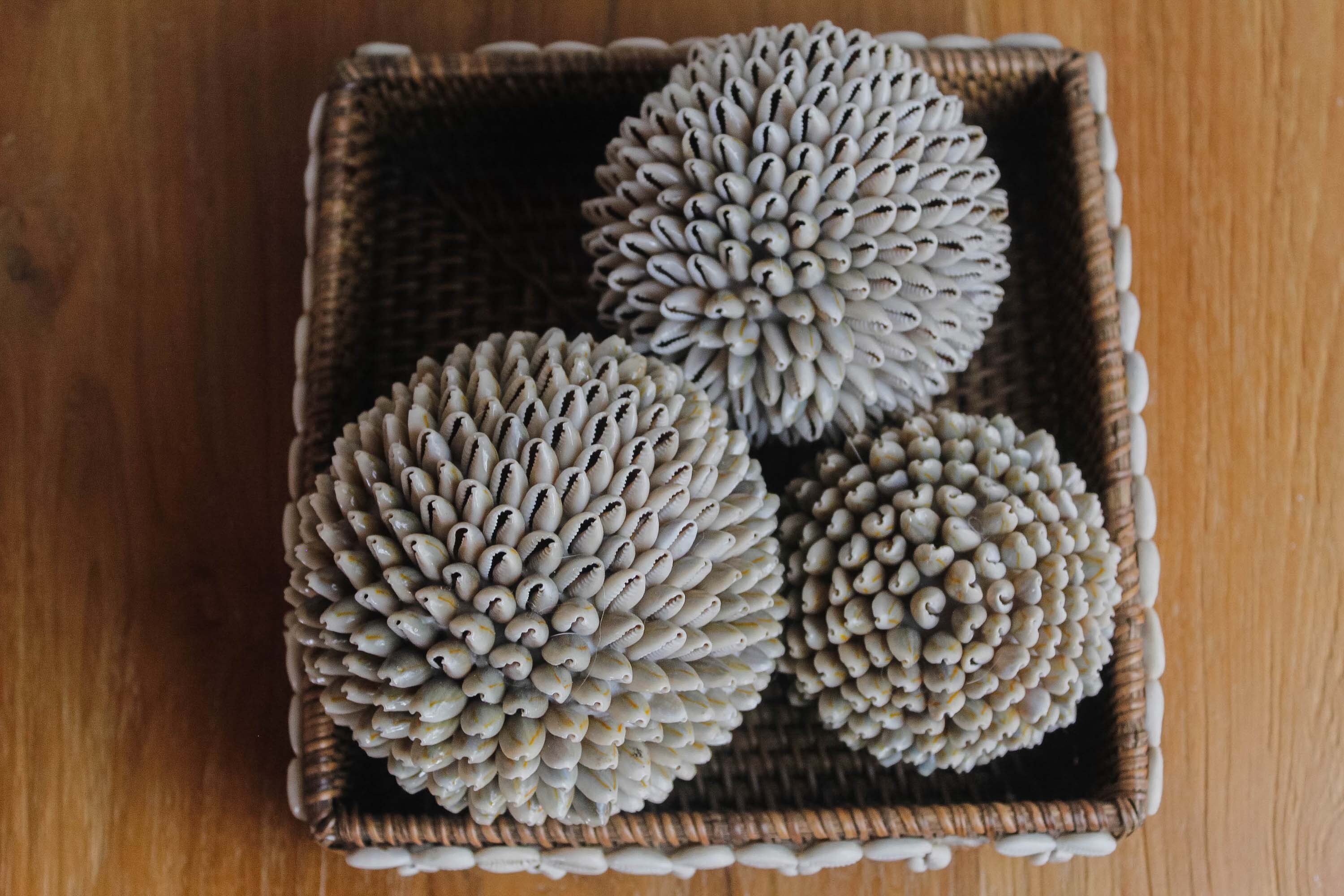 Seashells Table Decor, Set of 3 Cowrie Shell Balls for Coastal Style ...