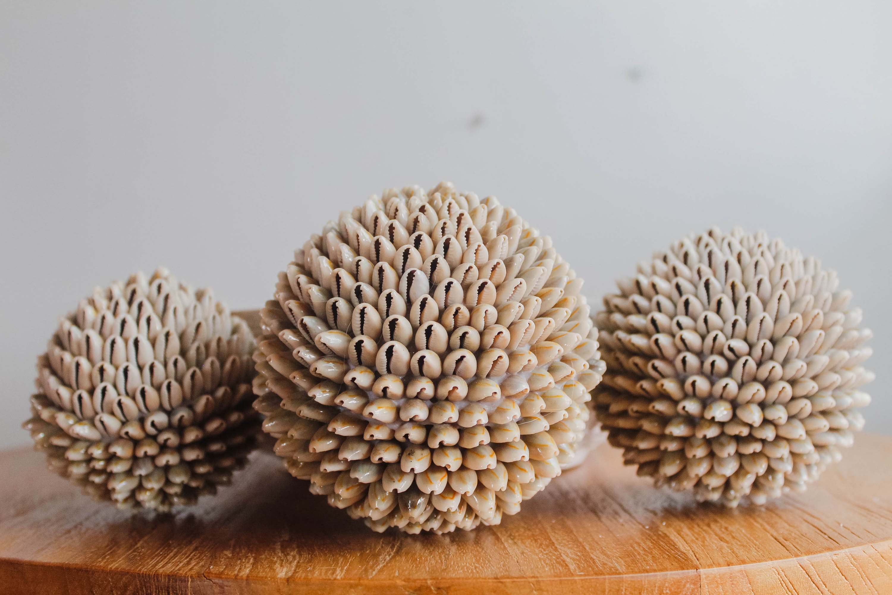 Seashells Table Decor, Set of 3 Cowrie Shell Balls for Coastal Style ...