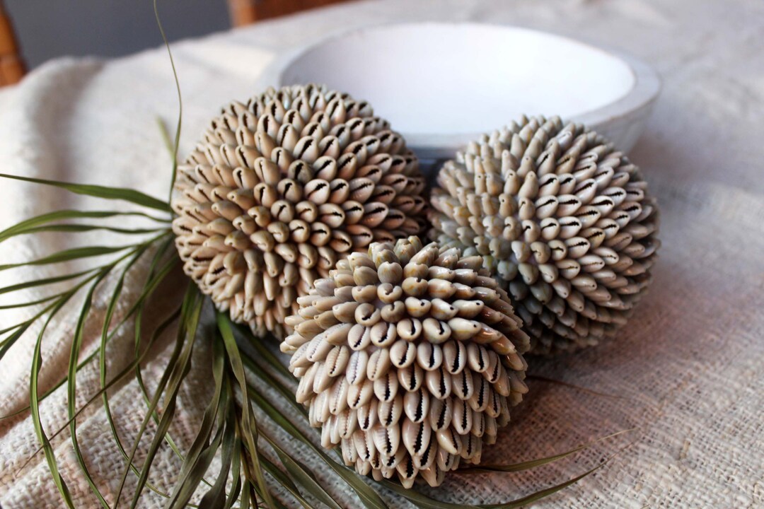 Seashells Table Decor, Set of 3 Cowrie Shell Balls for Coastal Style ...