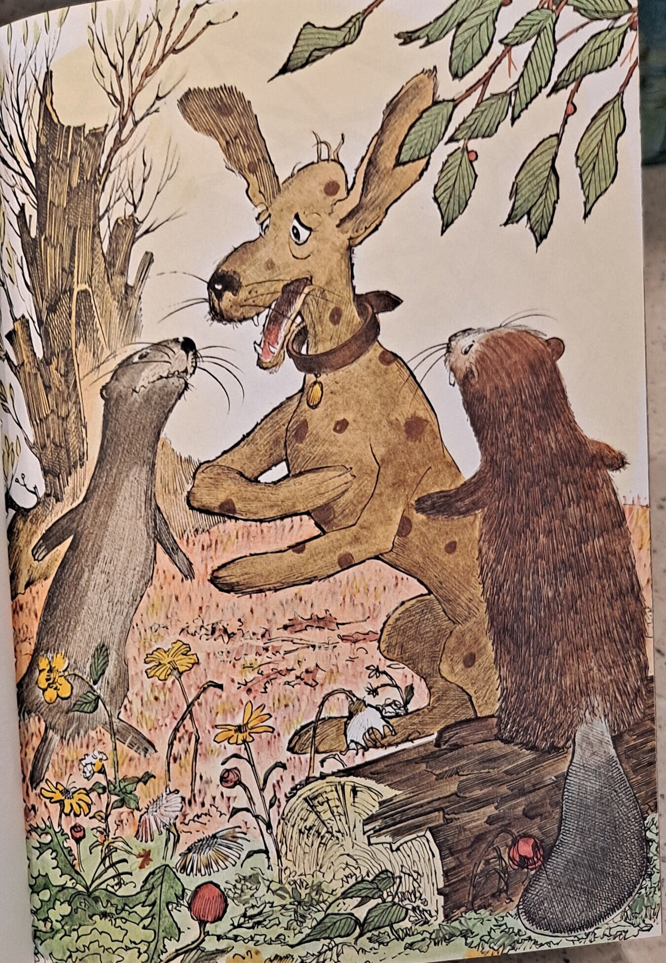 How Fletcher Was Hatched by Wende and Harry Devlin - Etsy