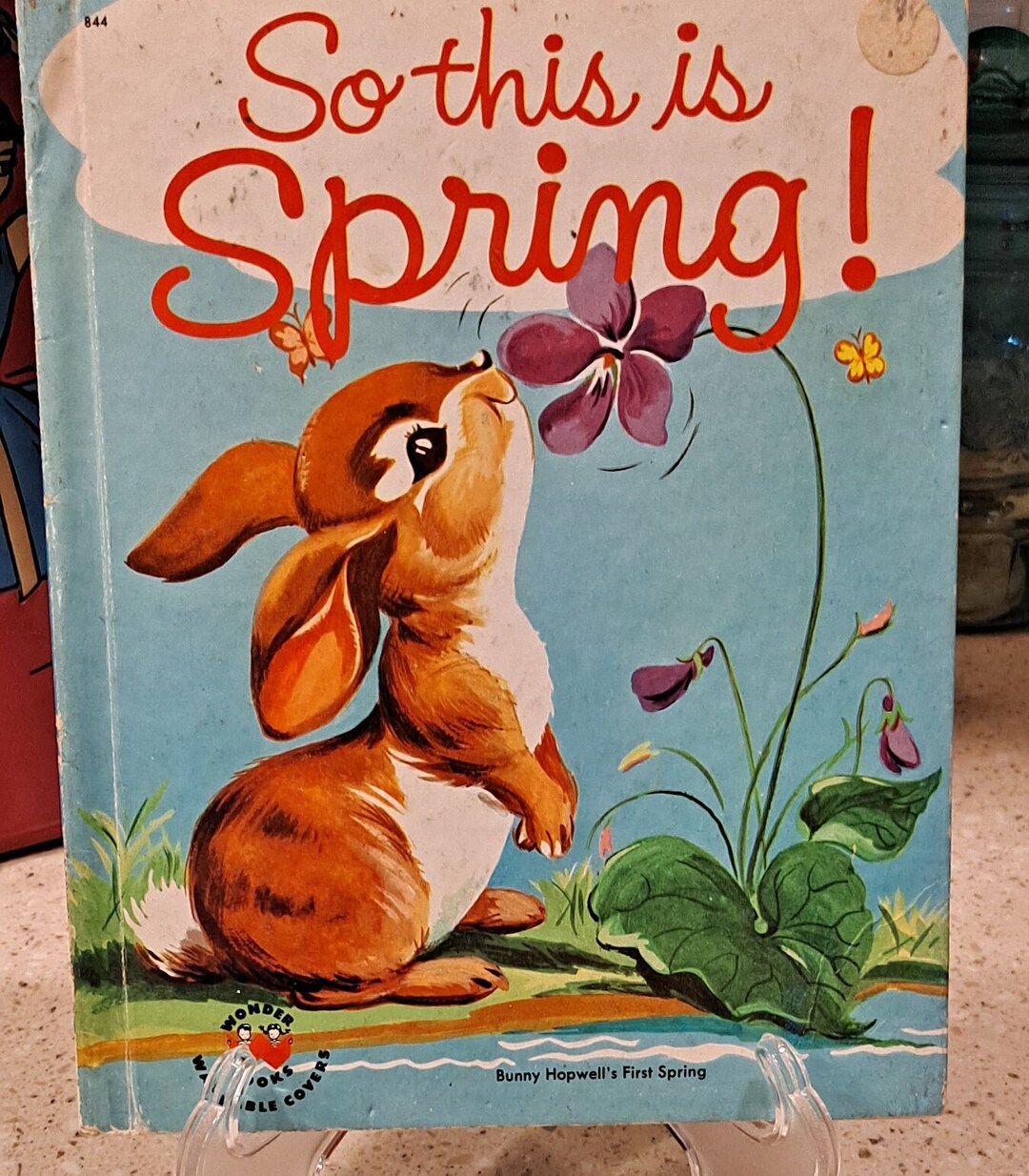 So This is Spring- Bunny Hopwell's First Spring- Wonder Book - Etsy