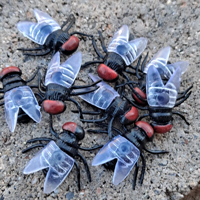 Realistic Fake Bugs - Etsy