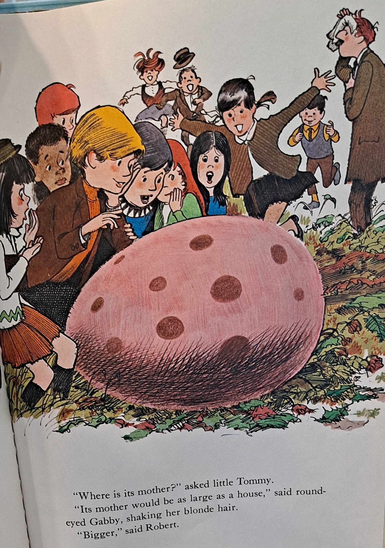 How Fletcher Was Hatched by Wende and Harry Devlin - Etsy